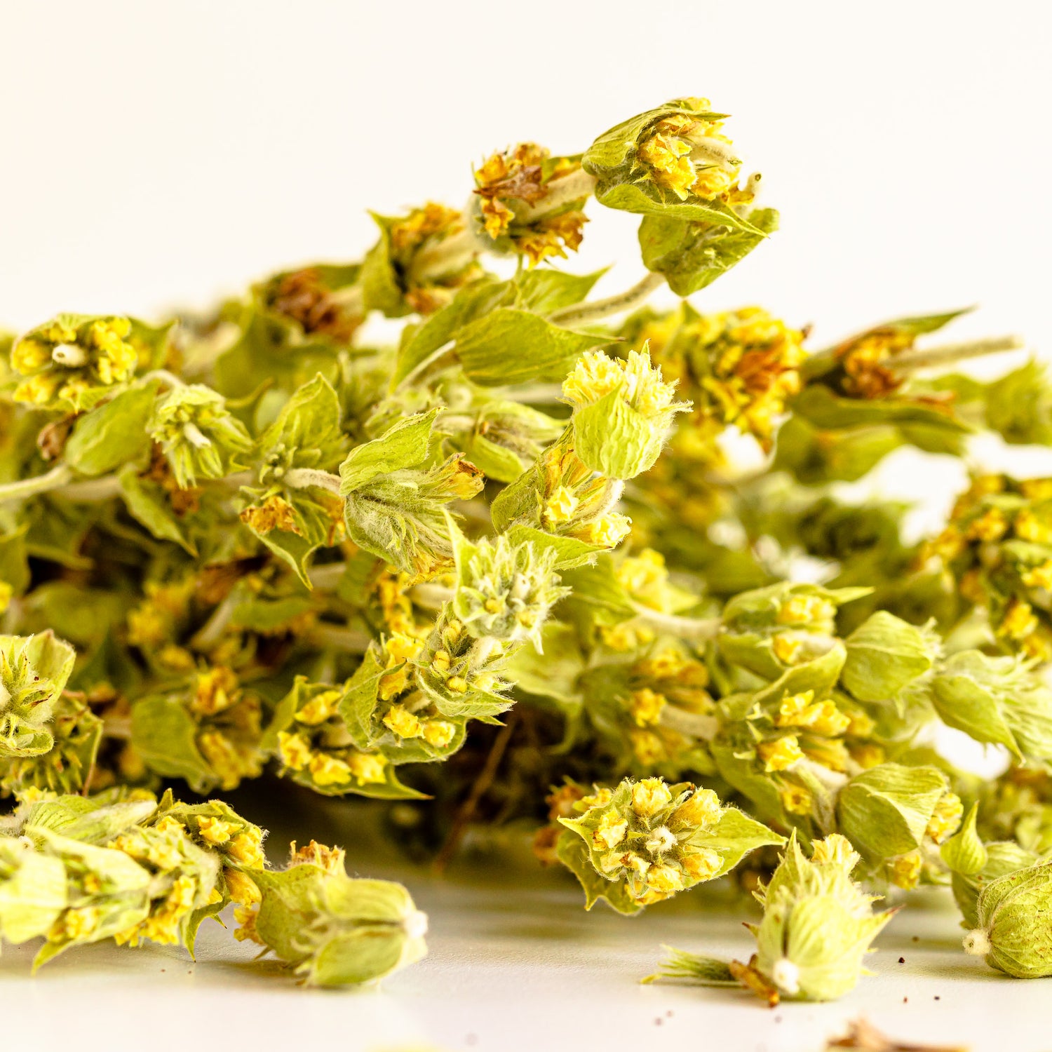 Greek Mountain Tea Bunch – The Mediterranean Dish