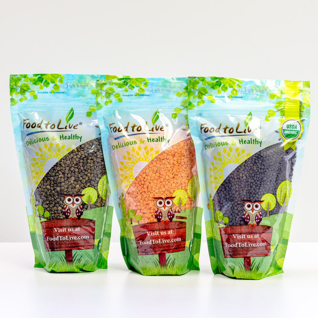 Lentils Bundle, Organic – The Mediterranean Dish